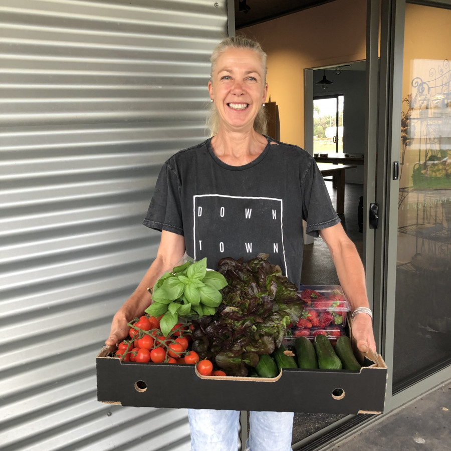 Things to do | Grantville Business & Community Association